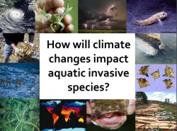 Climate Change and Invasive Species | Sustainability Classroom ...